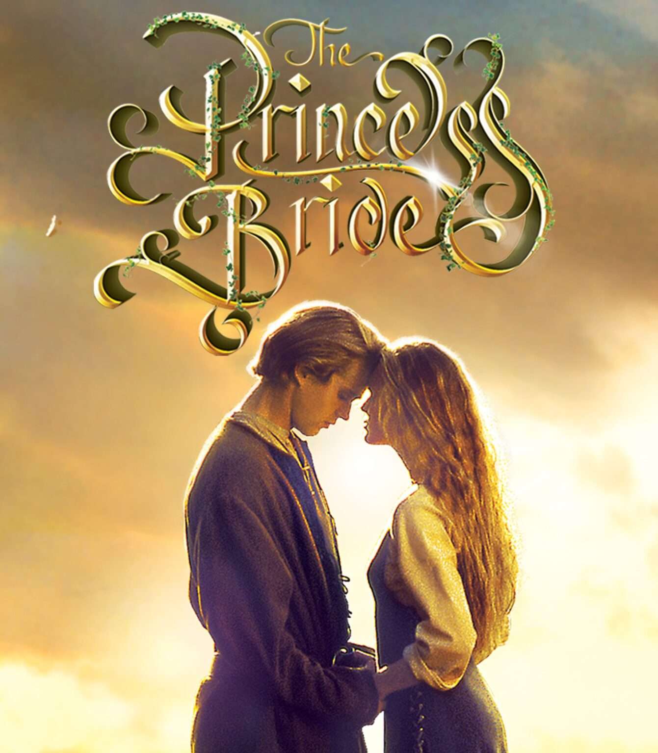 Free Movies in the Park Returns - Toronto Downtown West BIA | Toronto ...