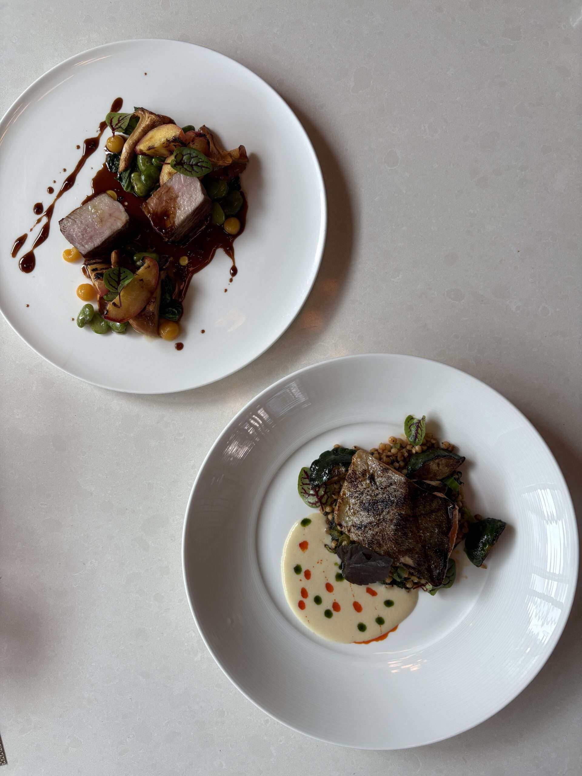 Summerlicious 2025: Best Downtown Toronto Restaurants - Toronto Downtown West BIA | Toronto DW BIA